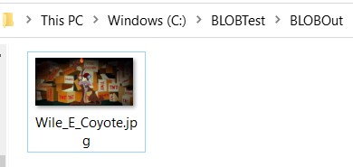 Saving and Extracting BLOB Data – Basic Examples | Notes on SQL