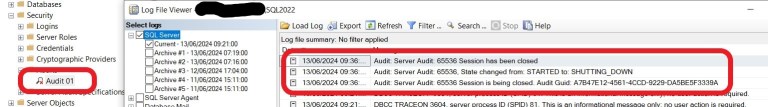 SQL Audit – Basic Example | Notes on SQL